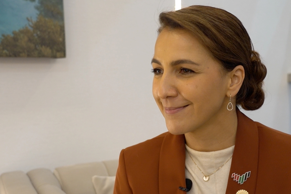 A Look at Mariam Almheiri, UAE Minister of Climate and Environment ...